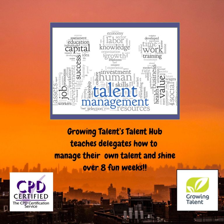 Talent Hub has started! | Growing Talent